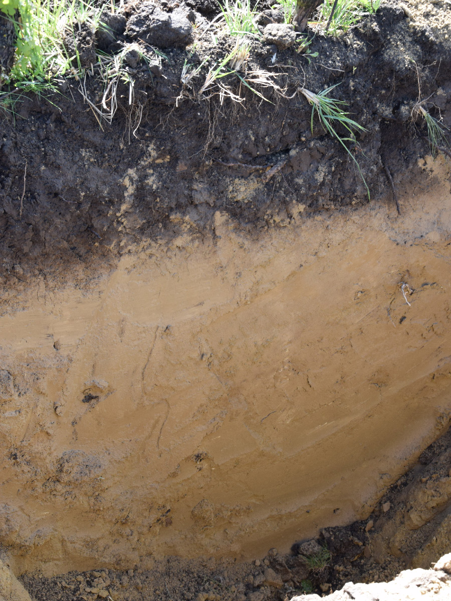 Hodnotenie pôdnych podmienok a rozbor pôdy | BS vinárske potreby
